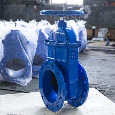 China PN10 PN16 High Temperature Gate Valve GGG50 Ductile Iron Dn300 Gate Valve for sale
