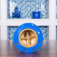 China GGG40 GGG50 Dn100 Pn16 Check Valve QT450 DN150 Ductile Iron Muffler for sale