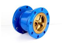 China Horizontal Cast Iron Silent Check Valve Flange Backstop Ductile Iron Check Valve for sale