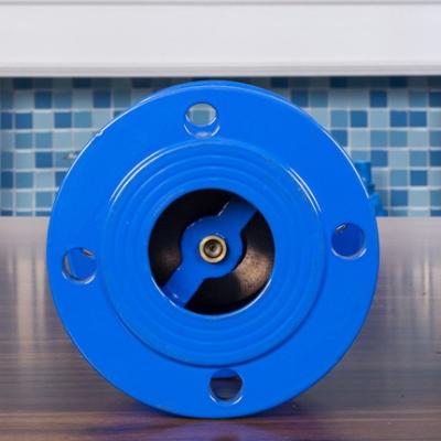 China Ggg40 Muffler Check Valve Double Flange Dn100 No Return Check Valve for sale