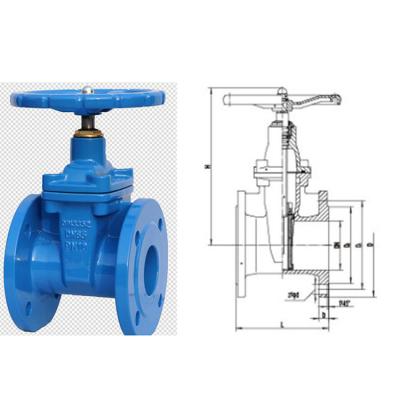 China anticorrosion Flange Type Gate Valve DN 100 With SGS Test Report for sale