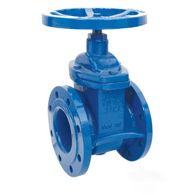 China GGG50 P16 DIN Standard Gate Valve Rubber Wedge Resilient Seat Gear Operated for sale