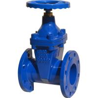 China OEM ODM Electric Soft Seal Gate Valve Fire Fighting Gate Valve DN80 Pn16 Qt450 for sale