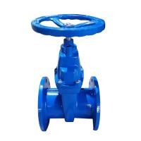 China Ductile Iron Carbon Steel Water Flanged End Gate Valve PN16 DN150 for sale