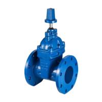 China Resilient Seat Gate Valves Wedge Gate Valve C509 Flanged Non-Rising Stem for sale