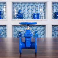 China Cast Iron Stem Ductile Iron Resilient Seated Gate Valve PN10 PN16 Customized for sale