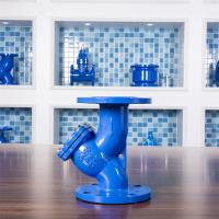 China DIN Ductile Cast Iron Y Type Strainer Filter Pn16 Flanged Blue Drinking Water for sale