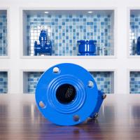 China Dn250 Ductile Iron Y Strainer Flange QT400 Water Line Sewage Pipe for sale
