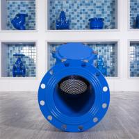 China Ductile Cast Iron Y Type Strainer Blue DIN Flange End Y Type Strainer for sale