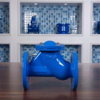 China DN50 Swing Check Valve Flange Type PN16 Lamella Rubber Flap Check Valve for sale