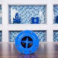 China Ductile Iron Silent Type Check Valve Hc41x Dn450 Pn16 Non Return Valve for sale