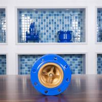 China Horizontal Cast Iron Silent Check Valve Flange Backstop Ductile Iron Check Valve for sale