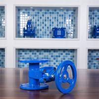 China PN10 GGG50 PN16 Soft Seal Gate Valve Din F4 Resilient Seated Gate Valve for sale