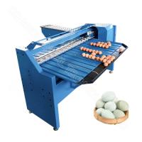 China 304 Stainless Steel Poultry Small Egg Grader Weight Classify Sorter Machine for sale