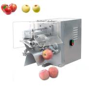 China Integrated Vegetable Processing Machinery Electric Apple Corer And Peeler ODM for sale