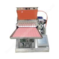 China Automatic Fudge Gummy Bear Manufacturing Equipment Depositor maker 220V for sale