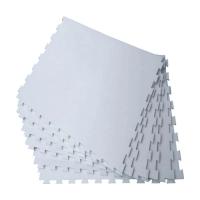 China Customized Indoor Polyethylene Sheet UHMWPE Synthetic Ice Rink Hockey Rink for sale