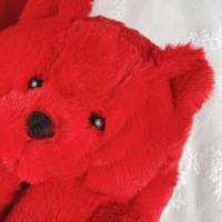 China Lovely Plush Teddy Bear Slippers For Bedroom BV Certified for sale