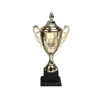 China Metal Trophies Triathlon Accessories for sale