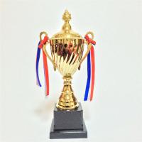 China Metal Trophies Triathlon Accessories for sale