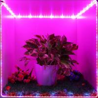 China 5V PLANT LED Grow Light Strips,Waterproof Full Spectrum Plant Grow Light, USB 16ft 300LEDs for sale
