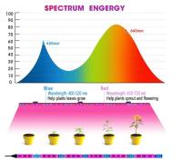 China 5V PLANT LED Grow Light Strips,Waterproof Full Spectrum Plant Grow Light, USB 16ft 300LEDs for sale
