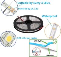 China Flexible LED Strip Lights,600 Units LEDs,LED Strips,Waterproof,12 Volt LED Light Strips, Pack of 16.4ft/5m for sale