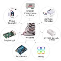 China WS2812B RGB 5050SMD Individual Addressable Flexible Full Color LED Strip Dream Color IP67 waterproof DC5V strip light for sale