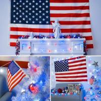 China Red White and Blue Patriotic Lights, 50 Led String Lights, Globe String Lights for Flag,Backyard, Patio, Garden, Party for sale