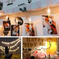 China Photo Clip String Lights Fairy Lights for Bedroom, USB Plug in Indoor String Lights, Twinkle Lights for Party Decor for sale