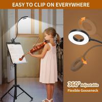 China Desk Lamp 3 Color Modes & 10 Brightness LED Reading Light with Clamp, Flexible Gooseneck Book Light Clip on Table for sale