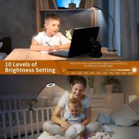 China Desk Lamp 3 Color Modes & 10 Brightness LED Reading Light with Clamp, Flexible Gooseneck Book Light Clip on Table for sale