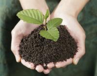 China Green Bio Organic Waste Disposal Machine for sale