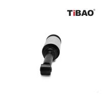 China Front Air Suspension Shock Absorber RNB501580 For Land Rover LSA FX3 FX4 for sale