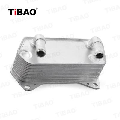 China 02E 409 061 B Automatic Transmission Oil Cooler For Audi A3 VW Beetle 02E409061B for sale