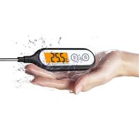 China OBM Supported Indoor And Outdoor Digital Probe BBQ Thermometer For Safe Meat Cooking for sale