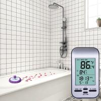 China WT0224 Waterproof Floating Pool Thermometer With Solar Power And 0-60 ° C Temperature Range for sale