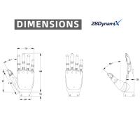 China ZBDynamiX ZDH-6D-169-N Five-Finger Humanoid Robotic Hand 11 DOF for Cobots for sale