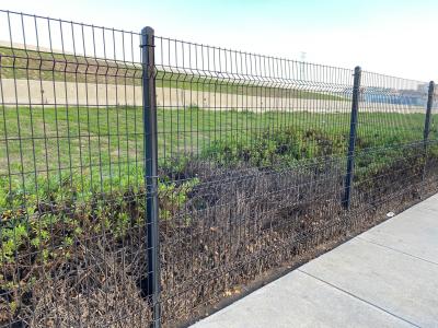 China PVC Coated 3D Welded Wire Mesh Fence 2-3m Length with 50-150mm Hole Size for Security and Gardening for sale