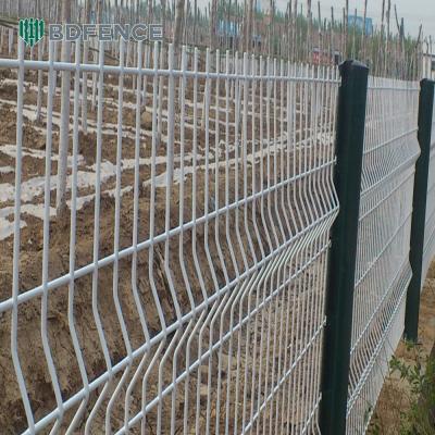 China 3D Welded Wire Mesh Fence Panel 50x100mm Mesh 2m Height Galvanized PVC Coated for sale