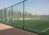 China Plastic Coating Flat Surface Metal Chain Link Fence for sale