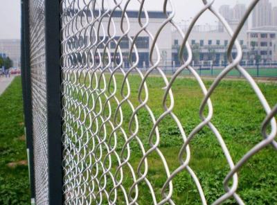China 9 Gauge 3mm PVC Coated Chain Link Fence 6ft 7ft 8ft Height Galvanized Diamond Mesh for sale