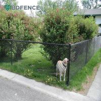 China Galvanized Chainlink Fence Roll 6ft 8ft Height with 50×50mm Diamond Mesh - PVC Coated Tennis Court Fencing for sale