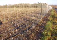 China Hinge Joint Galvanized Livestock Fence Panels - 2.5mm Wire Diameter, 813mm to 1422mm Heights for sale
