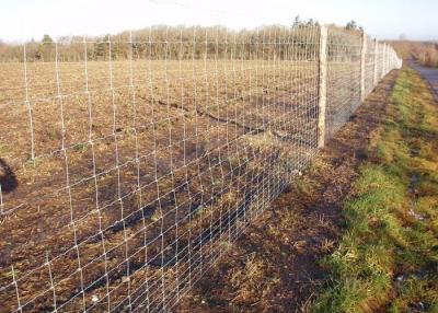 China Hinge Joint Galvanized Livestock Fence Panels - 2.5mm Wire Diameter, 813mm to 1422mm Heights for sale