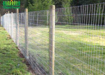 China 1.5m Hot Dipped Galvanized High Tensile Wire Farm Fence with 2.5mm Wire Diameter and 150mm Spacing for sale