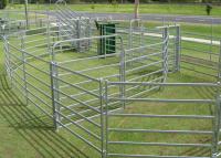 China Multi Function Square Pipe Livestock Fence Panels 1.8m Height with 40-60mm Tube Options for sale