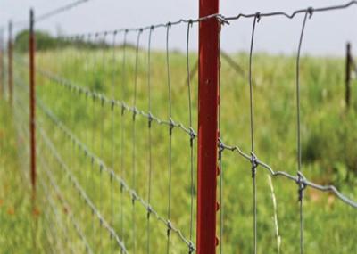 China High Tensile Grassland Steel Livestock Fence Panels 2.5mm Wire 40-60g/m2 Galvanized for sale