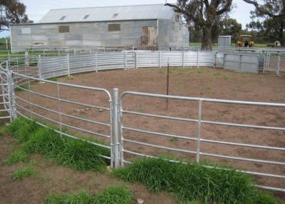 China 12ft Galvanized Farm Bar Gate Horse Racecourse Fence 3600mm x 1170mm 40mm Pipe for sale