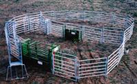 China Galvanized Round Steel Corral Panels 1.6m High 2100x1800mm Livestock Fence for sale